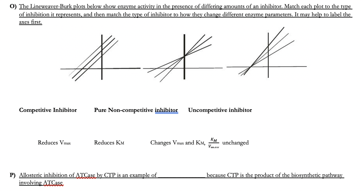 Competitive Inhibition Lineweaver Burk Plot