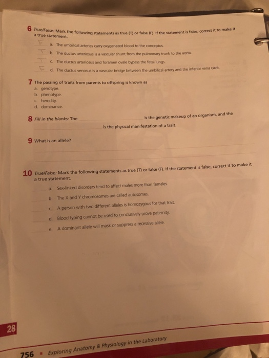 Solved A True Statement As True T Or False F If The