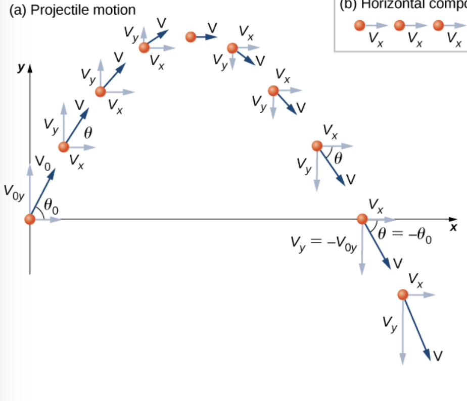 Solved Explain the type of motion occurring along the x and | Chegg.com