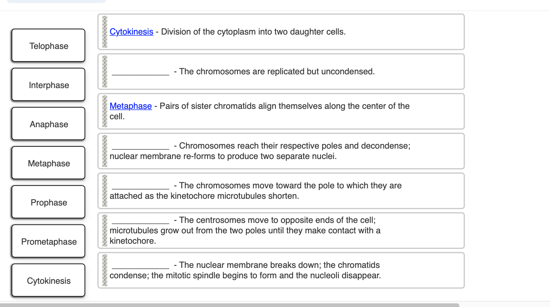 Solved Match The Phase Of The Cell Cycle With The Correct Chegg Solved Match The Phase Of The Cell Cycle With The Correct Chegg