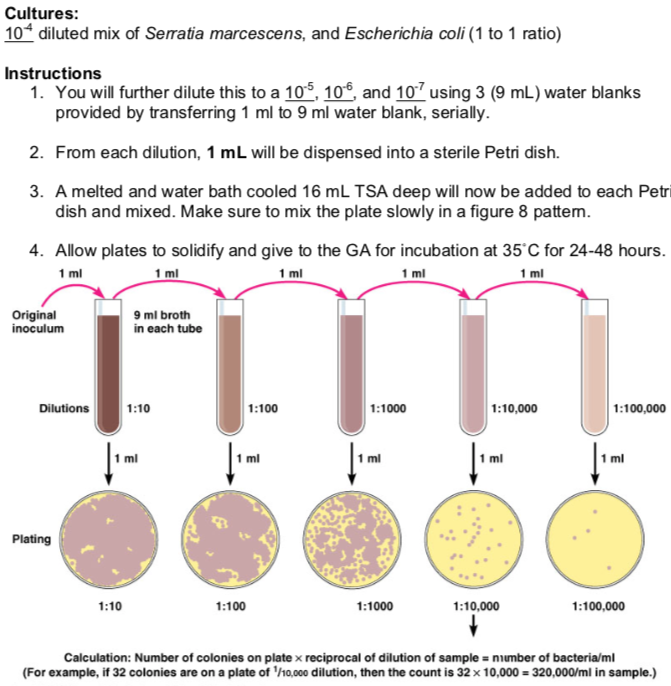 Solved Can someone please help me calculate these dilution | Chegg.com