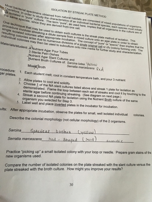 Solved ost b the acterial ISOLATION BY STREAK PLATE METHOD | Chegg.com