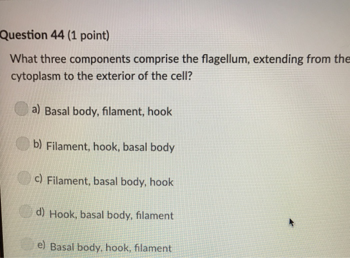 Solved Question 44 (1 point) What three components comprise | Chegg.com