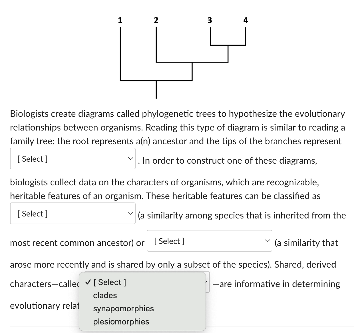 Solved Biologists create diagrams called phylogenetic trees | Chegg.com