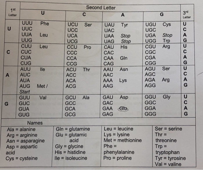 Solved Sickle-cell Anemia Study Sickle-cell anemia or | Chegg.com