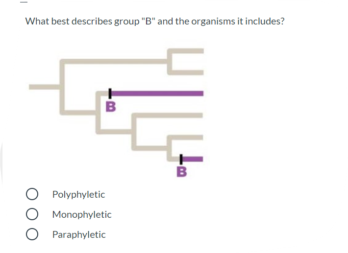 Solved This Chegg question has two parts, 5,1. Please | Chegg.com