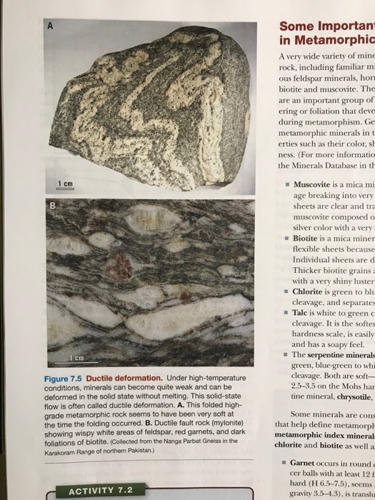 Activity 7.3 Metamorphic Rock Analysis and | Chegg.com