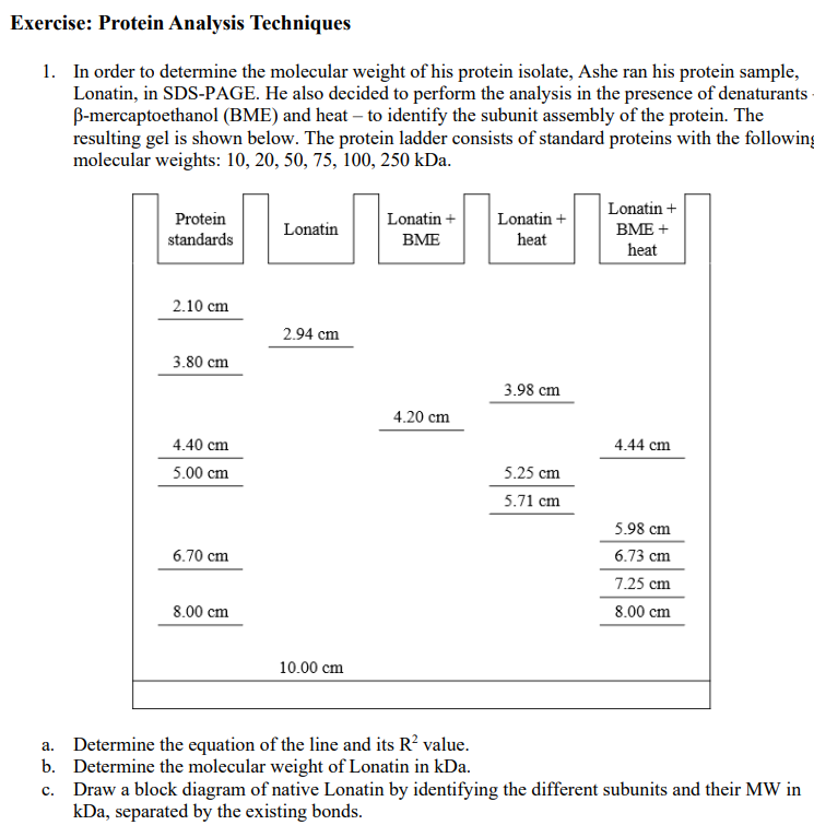 Solved xercise: Protein Analysis Techniques 1. In order to | Chegg.com Solved xercise: Protein Analysis Techniques 1. In order to | Chegg.com