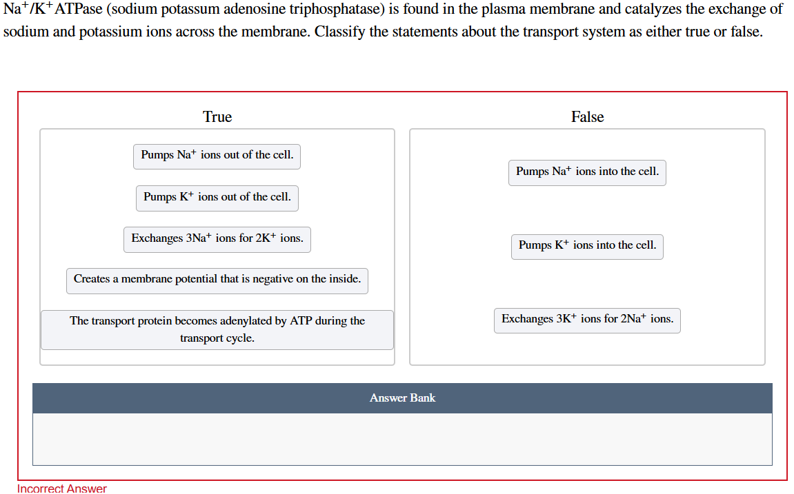Solved Na+K+ATPase (sodium ﻿potassum adenosine | Chegg.com