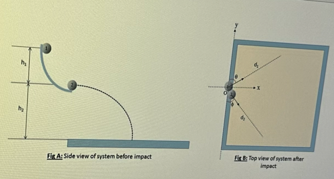 Solved Ball 1 starts at the top of a ramp where it is | Chegg.com