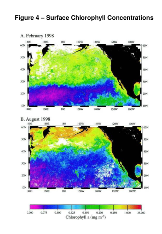 Solved Figure 4- Surface Chlorophyll Concentrations A. | Chegg.com
