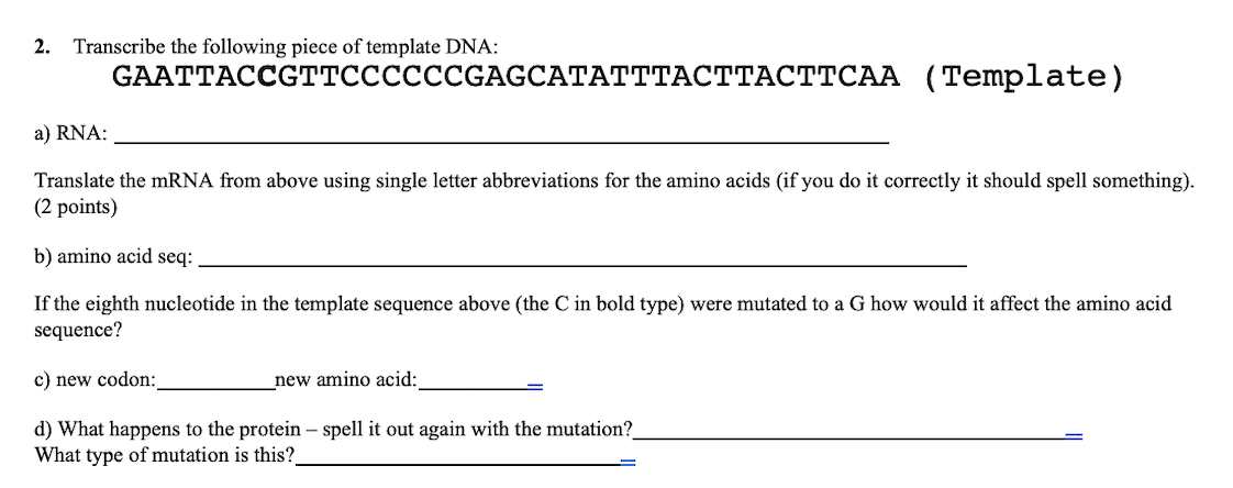 Solved 2. Transcribe the following piece of template DNA: | Chegg.com