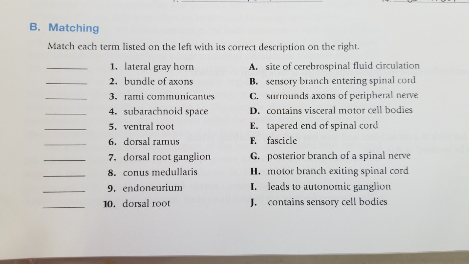 Solved B Matching Match each term listed on the left with | Chegg.com