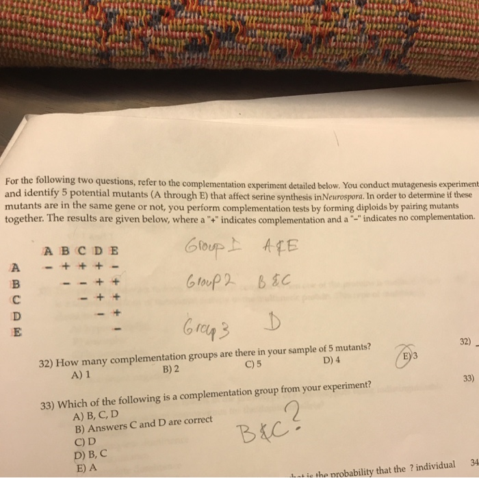 Solved For the following two questions, refer to the | Chegg.com