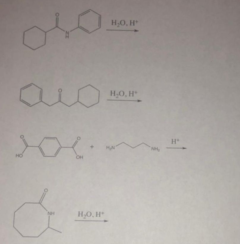 Solved H,O,H H,O, H+ H HEN NH HO OH NH H20, H | Chegg.com