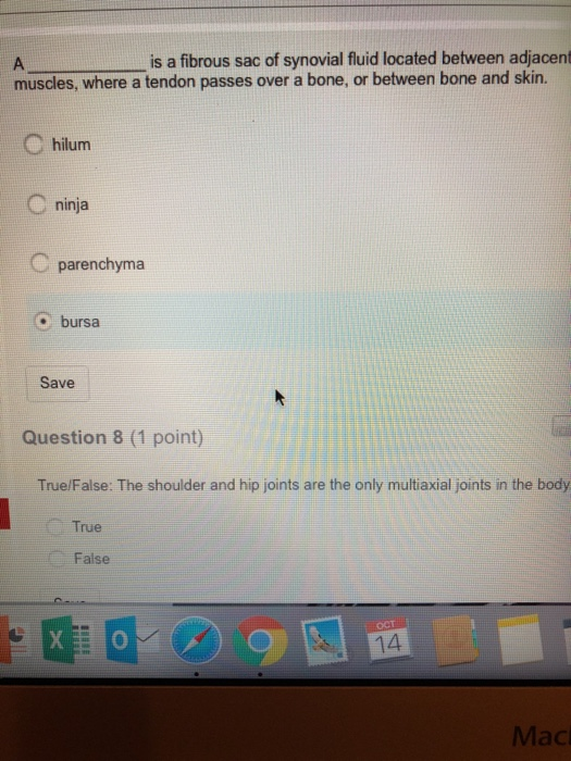 Solved Select all types of suture joints from the list | Chegg.com
