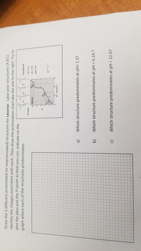 Solved Draw the 3 different protonated (or unprotonated) | Chegg.com