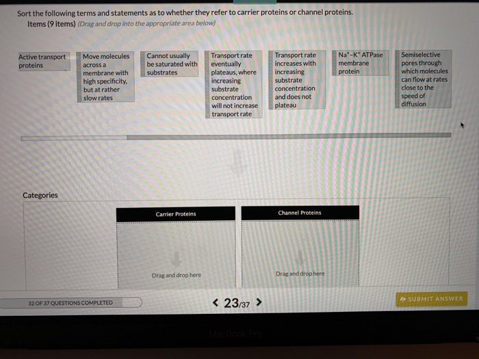 Solved ort the following terims and statements as to wnether | Chegg.com Solved ort the following terims and statements as to wnether | Chegg.com