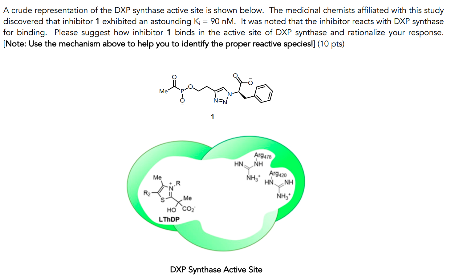 Solved A crude representation of the DXP synthase active | Chegg.com