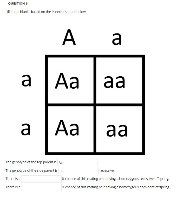Solved QUESTION 3 Fill in the blanks below using the Punnett | Chegg.com