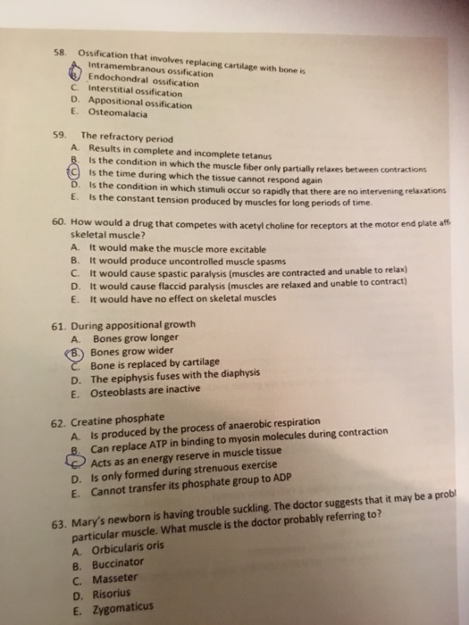 Solved 58. Ossification that involves replacing cartilage | Chegg.com