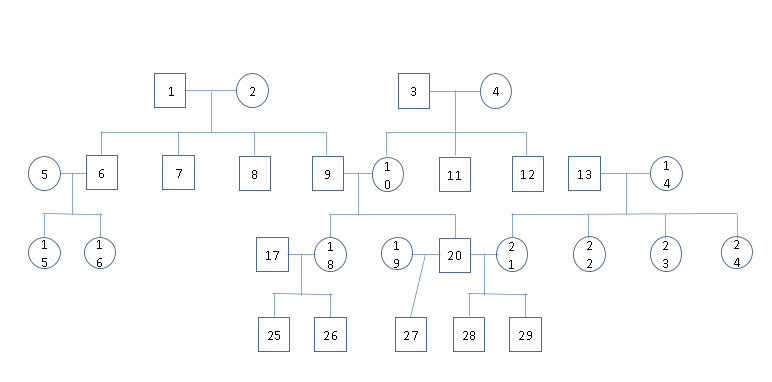 1. What is the eye color genotype of individual 10? | Chegg.com