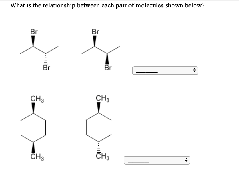 Solved What is the relationship between each pair of | Chegg.com