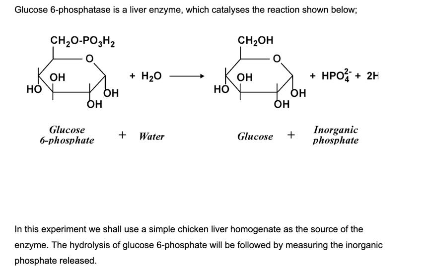 Glucose 6-phosphatase is a liver enzyme, which | Chegg.com