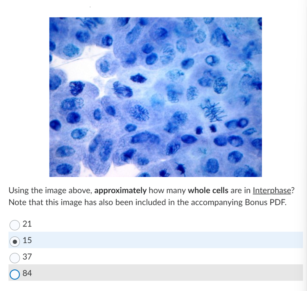 Solved Using the image above, approximately how many whole | Chegg.com