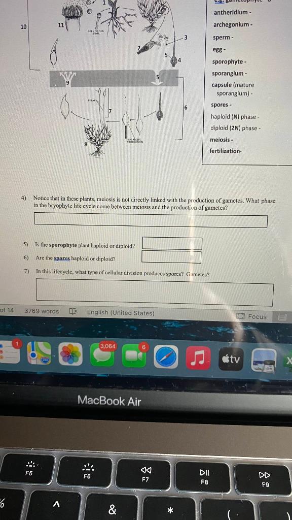 Complete the diagram of the moss life cycle below by | Chegg.com