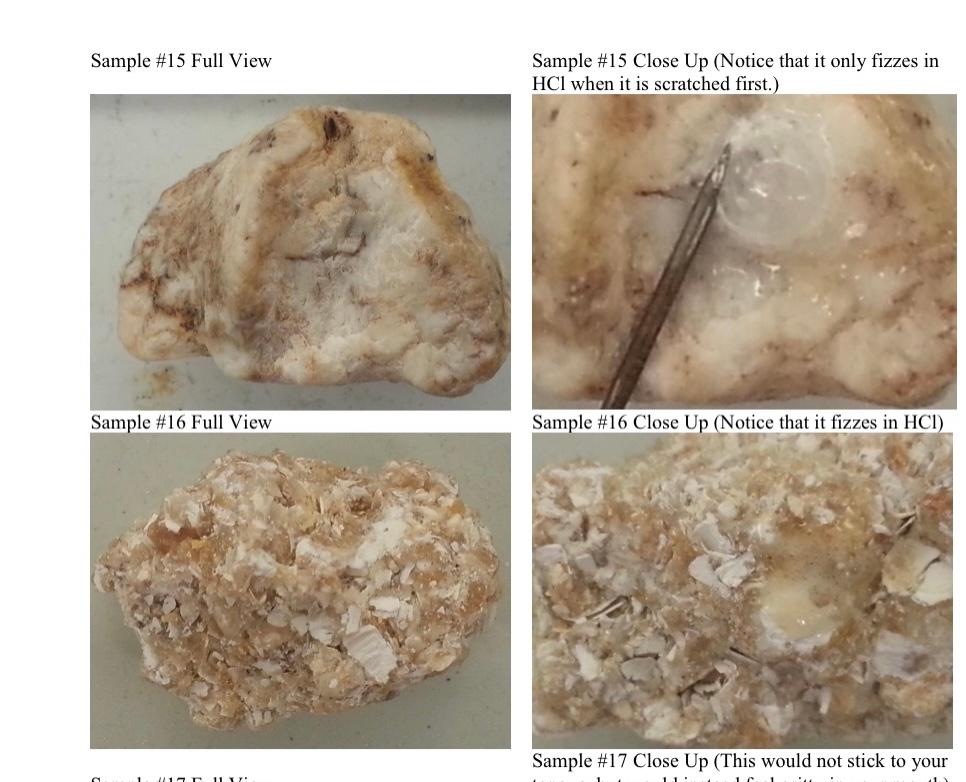 Solved Sample #15: Is this rock clastic or chemical? مجموعة | Chegg.com