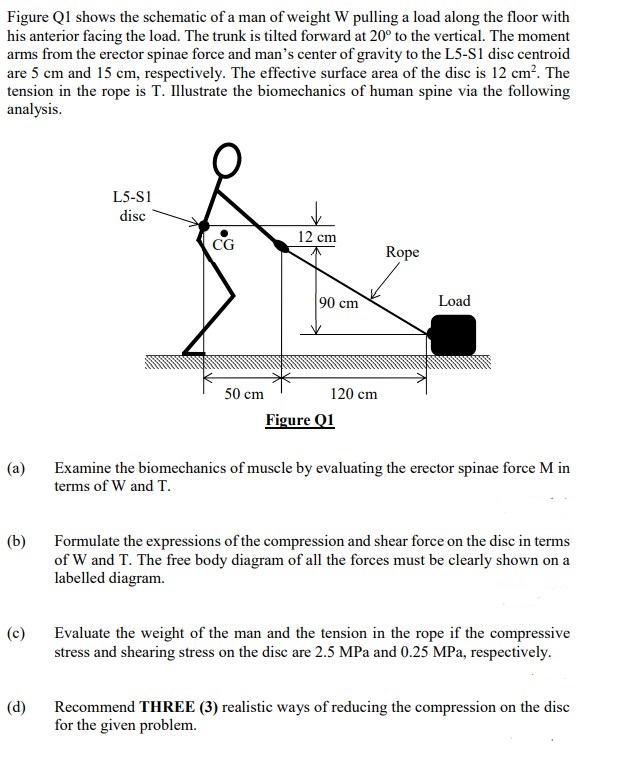 Solved Figure Q1 shows the schematic of a man of weight W | Chegg.com