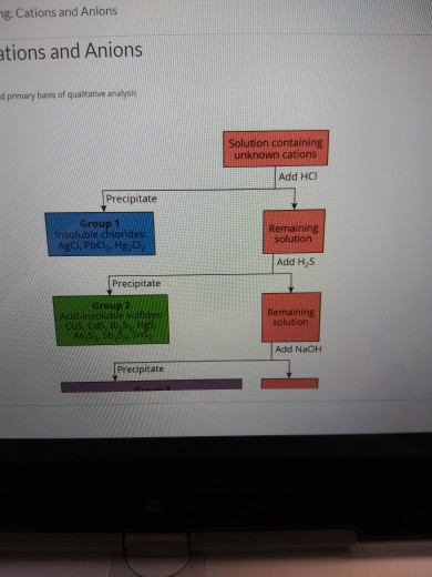 ng: Cations and Anions ations and Anions primary | Chegg.com