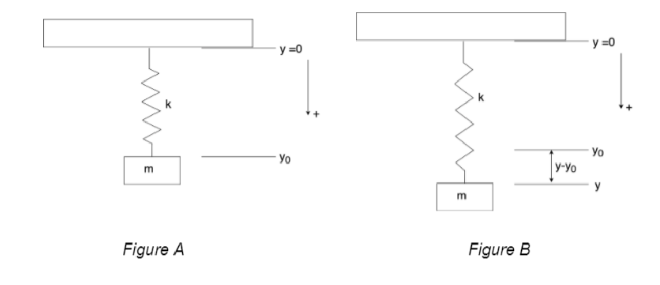 Solved Create a free-body diagram of the mass-spring system | Chegg.com