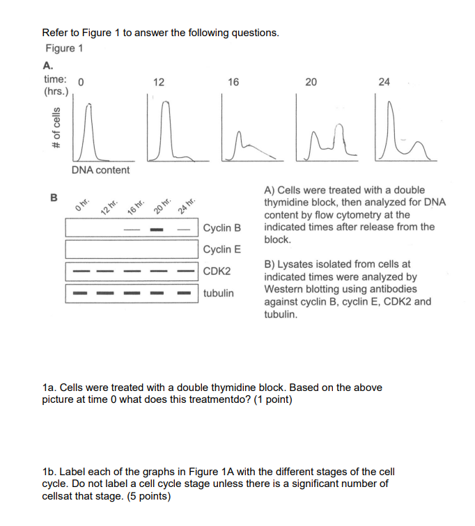 Solved Refer to Figure 1 to answer the following questions. | Chegg.com