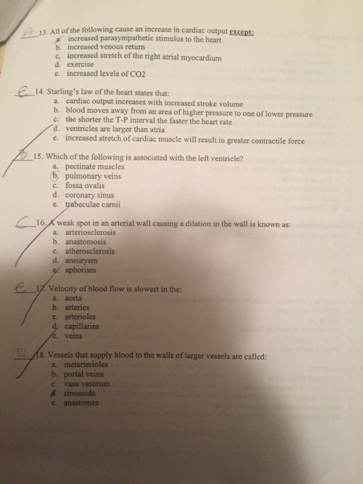 Solved 13. All of the following cause an increase in cardiac | Chegg.com