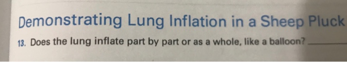 Solved Demonstrating Lung Inflation in a Sheep Pluck 13. | Chegg.com