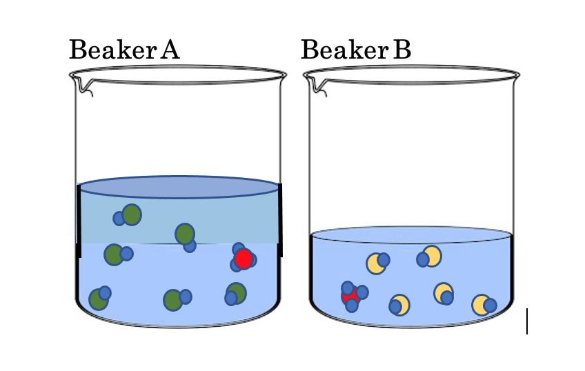 Solved Consider both beakers of aqueous solutions below. | Chegg.com