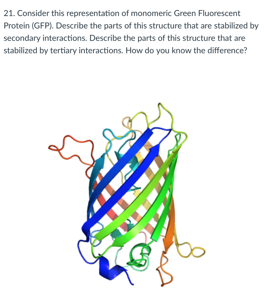 Solved Consider this representation of monomeric Green | Chegg.com
