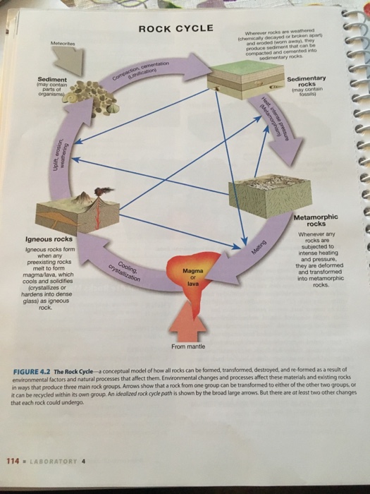 Solved ACTIVITY 4.5 Rocks and the Rock Cycle Model A. onde | Chegg.com