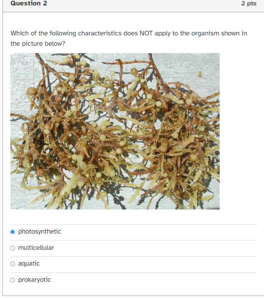 Solved Question 2 2 pts Which of the following | Chegg.com