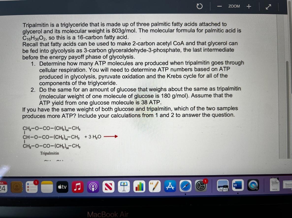 Solved Tripalmitin is a triglyceride that is made up of | Chegg.com