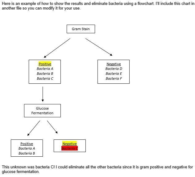 Solved Determining an unknown organism using a flow chart... | Chegg.com