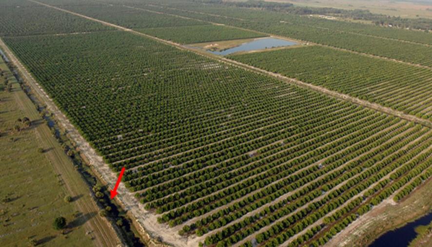 Solved (15) Is the arrow in Figure 8 pointing at a lateral | Chegg.com