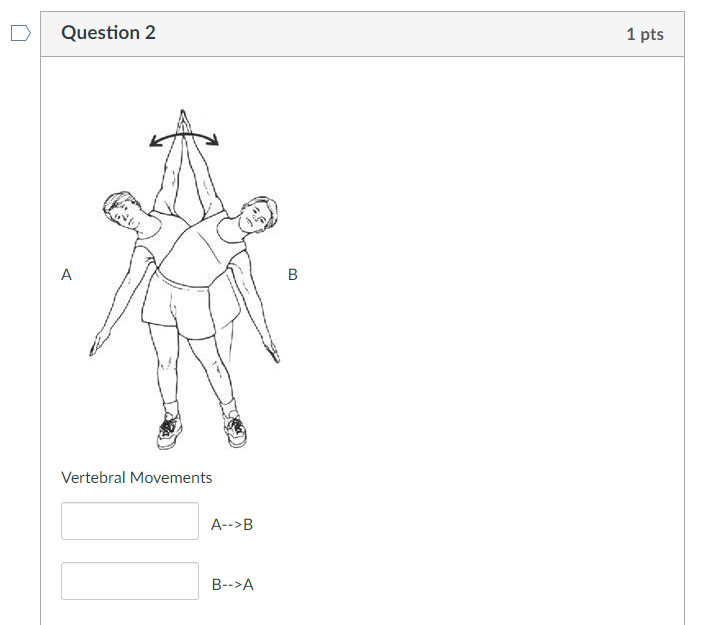 Solved Complete the following Lab Activity on Movement | Chegg.com