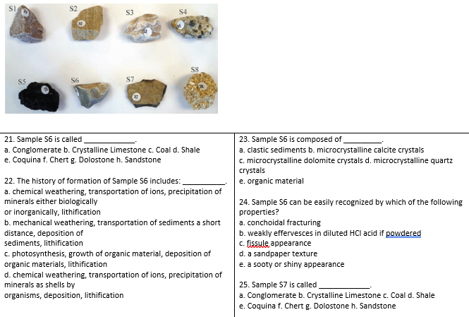 Solved 21. Sample $6 is called a. Conglomerate b. | Chegg.com