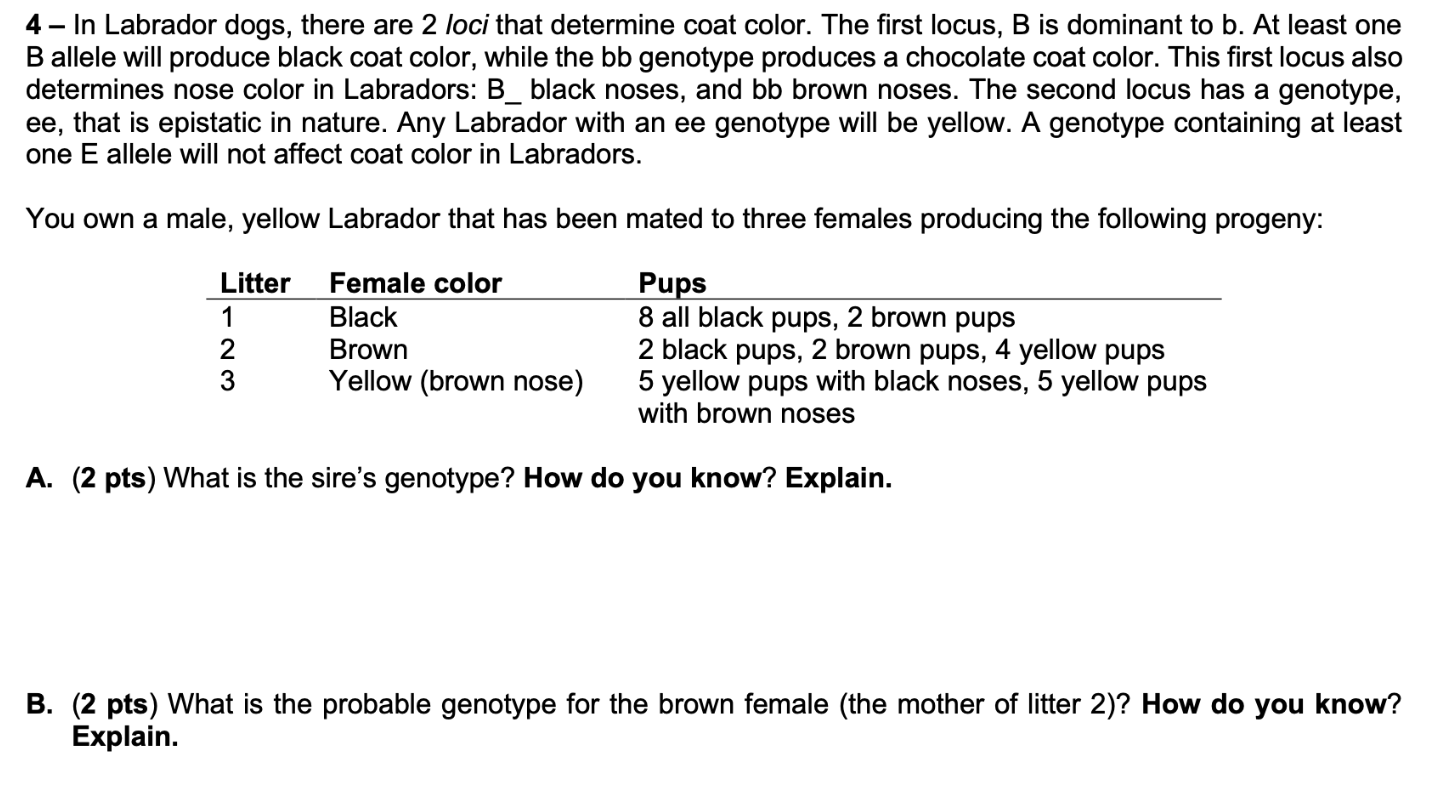 Solved 4-In Labrador dogs, there are 2 loci that determine | Chegg.com