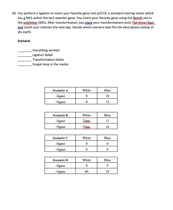 Solved (4) You perform a ligation to insert your favorite | Chegg.com