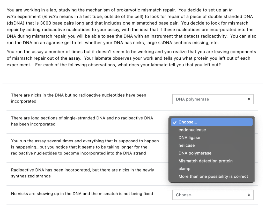 Solved You are working in a lab, studying the mechanism of | Chegg.com