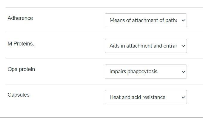 Solved Adherence Means of attachment of path v M Proteins. | Chegg.com